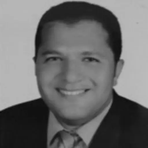 Our Team – Insight Consultancy